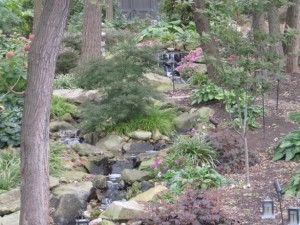 BackYardLandscape2 - Natorps