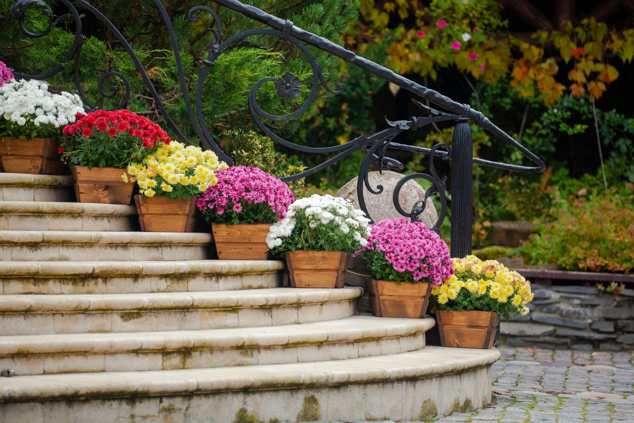 10 Ideas for Creating a Mesmerizing Fall Garden with Mums - Natorps